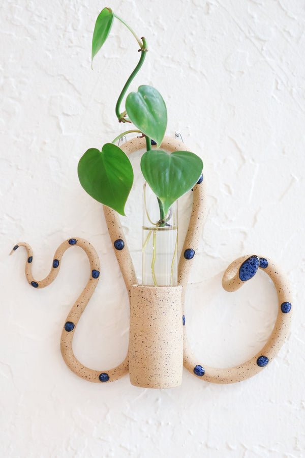 Wall Plant Propagation Station - Carter + Rose