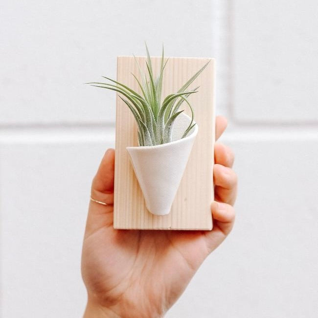 Carter & Rose - Handmade in Portland, Oregon